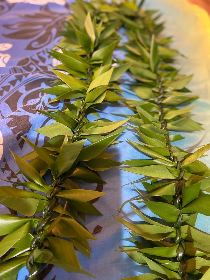 Ali’i (royalty) Real, Fresh DOUBLE Ti Leaf Lei - Etsy