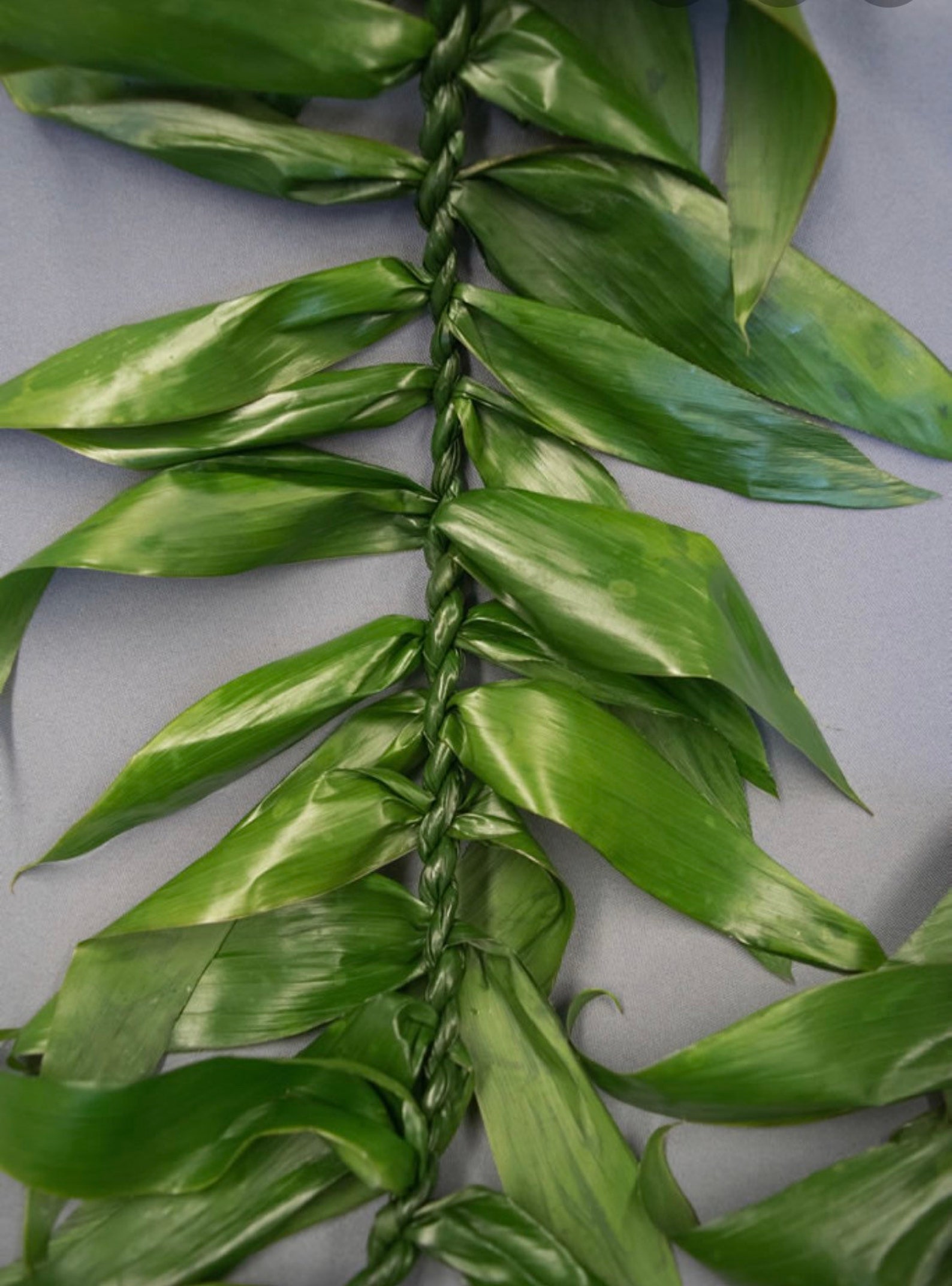 Alii royalty Real Fresh DOUBLE Ti Leaf Lei - Etsy