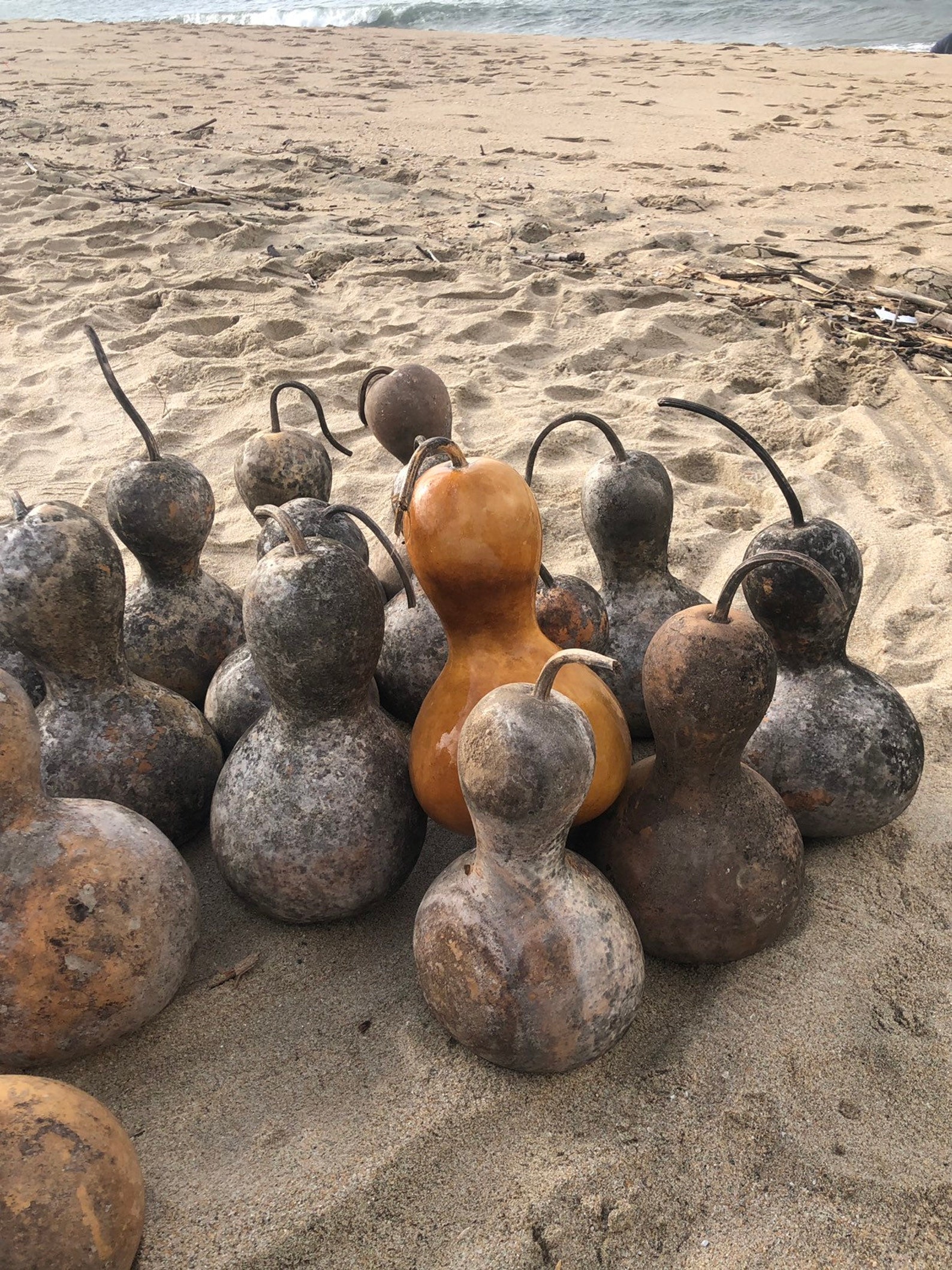 Ipu hand-held Calabash Gourd - Etsy