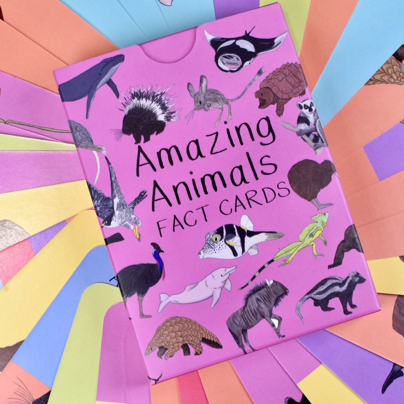 Amazing Animal Fact Cards Set 2 Flash Cards Home Education - Etsy