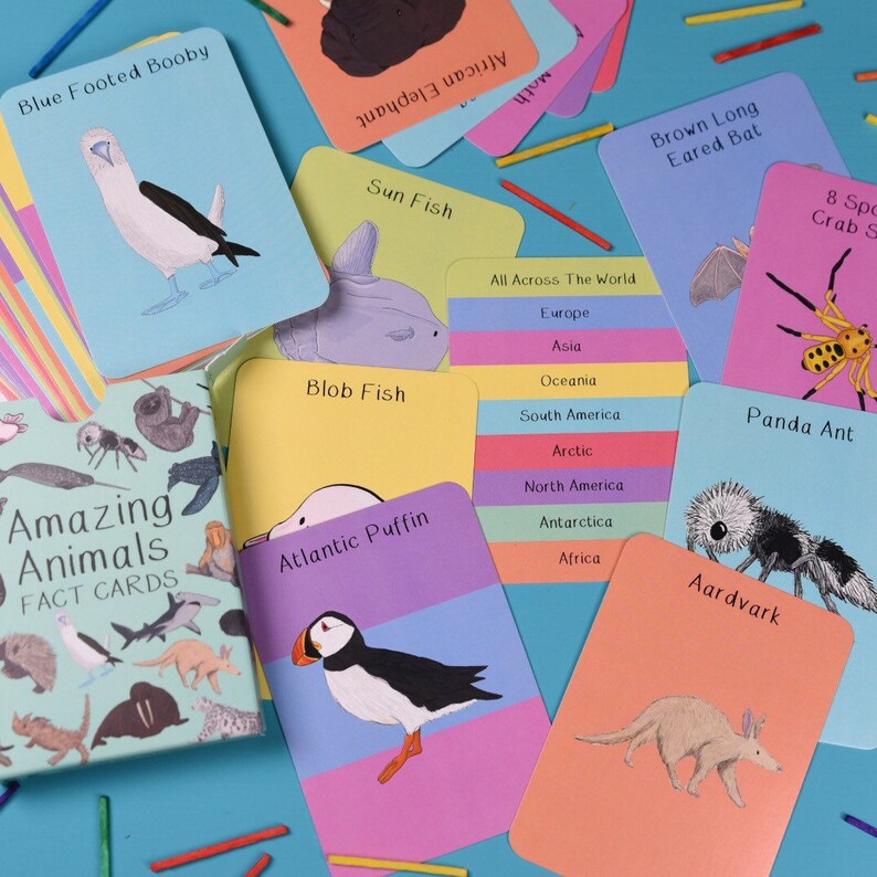 Amazing Animals Fact Cards Set 1 Learn Through Play Education Flash ...