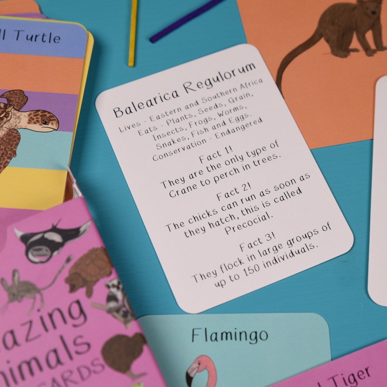 Amazing Animal Fact Cards Set 2 Flash Cards Home Education - Etsy UK