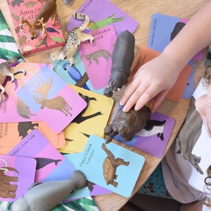 Amazing Extinct Animals Fact Cards - Educational and Fun - Etsy