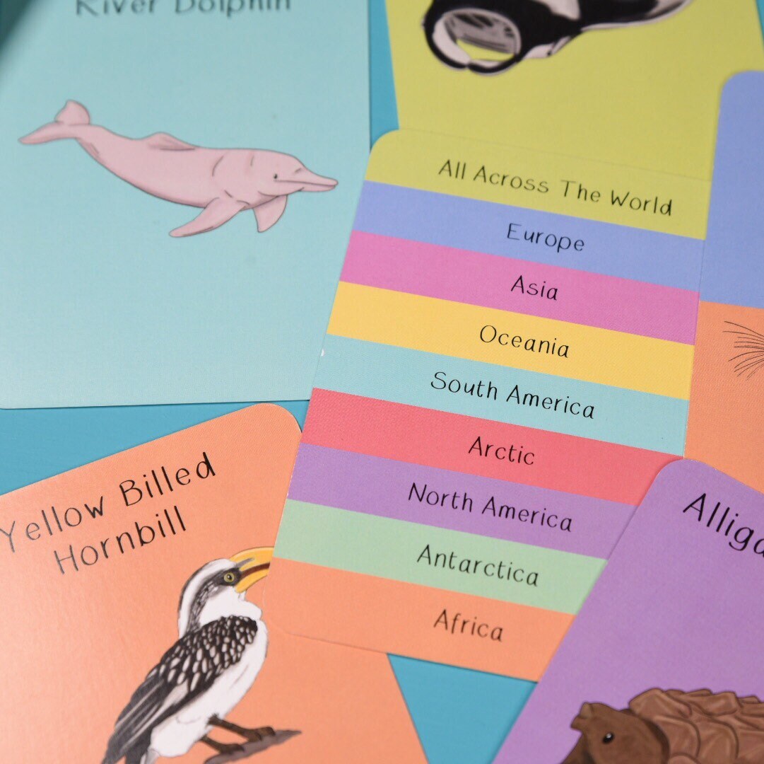 Animal Fact Cards Set 2 – Educational Learning Game, Made in UK - Etsy UK