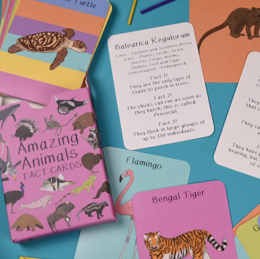 Amazing Animal Fact Cards Set 2 Flash Cards Home Education Learn ...