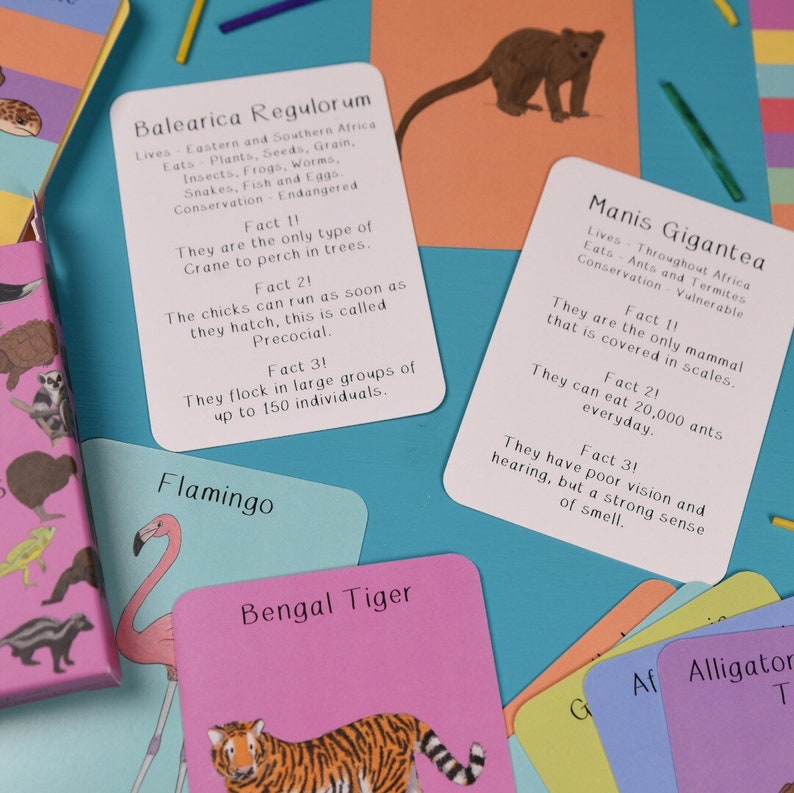 Amazing Animal Fact Cards Set 2 Flash Cards Home Education Learn ...