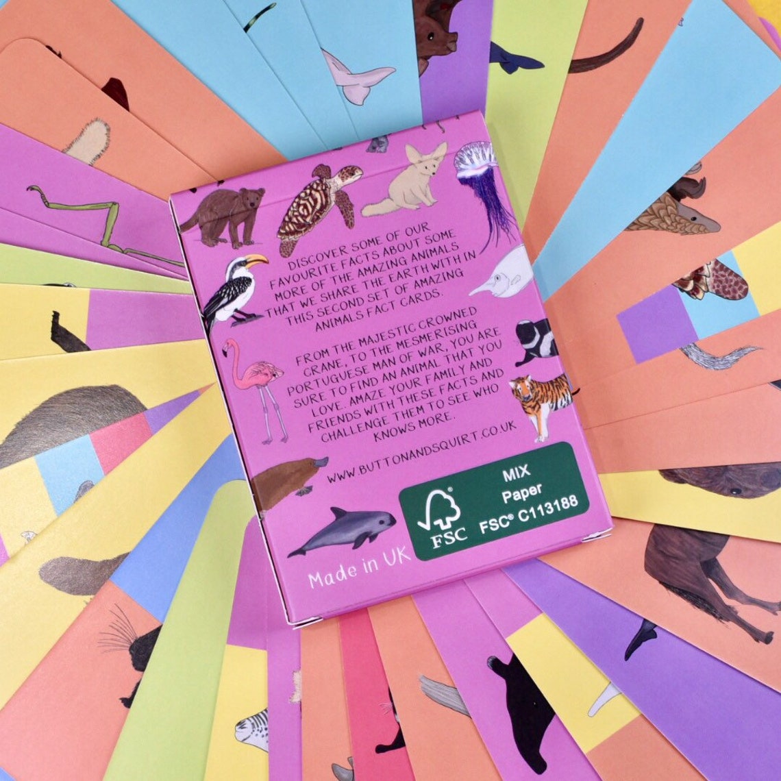 Amazing Animal Fact Cards Set 2 Flash Cards Home Education - Etsy UK