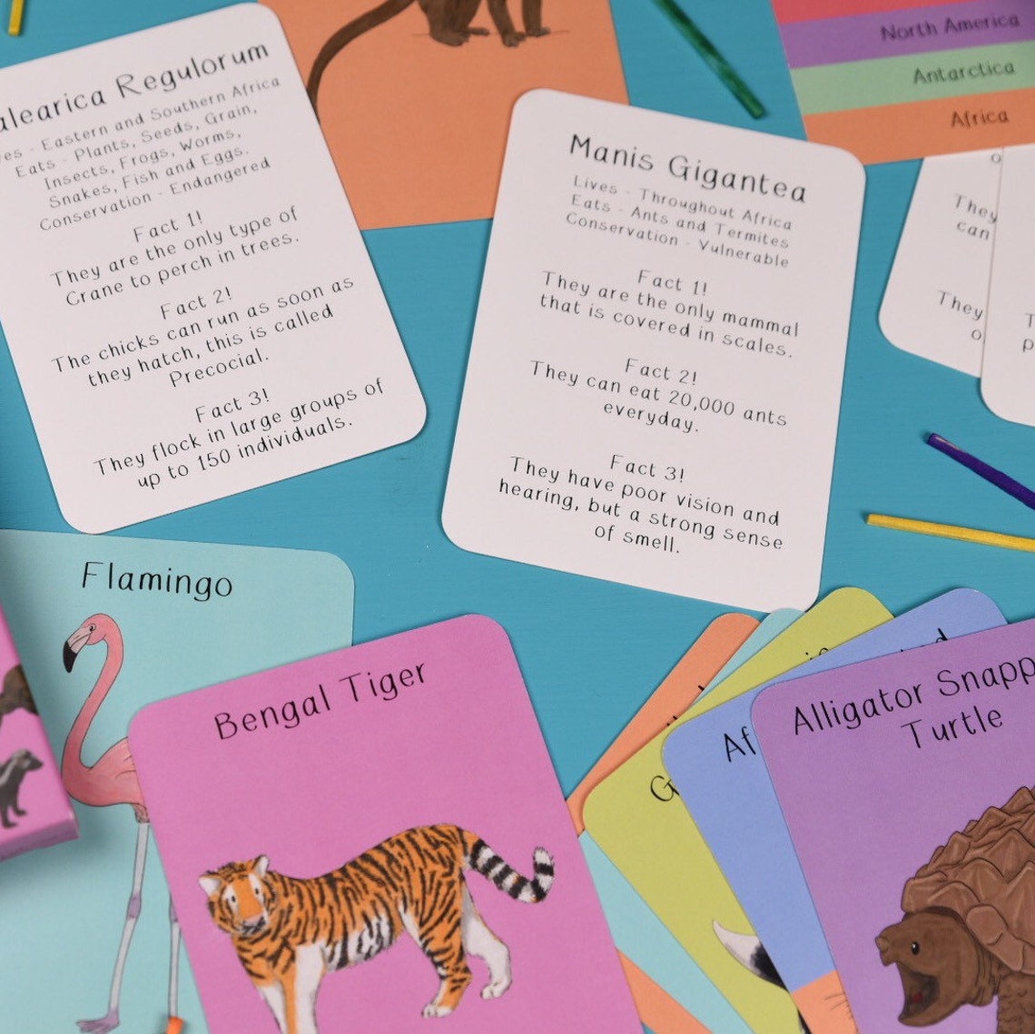 Amazing Animal Fact Cards Set 2 Flash Cards Home Education - Etsy