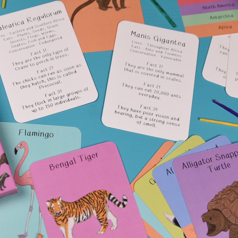 Amazing Animal Fact Cards Set 2 Flash Cards Home Education - Etsy UK