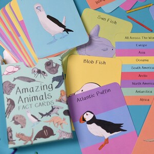 Amazing Animals Fact Cards Set 1 Learn Through Play Education Flash ...