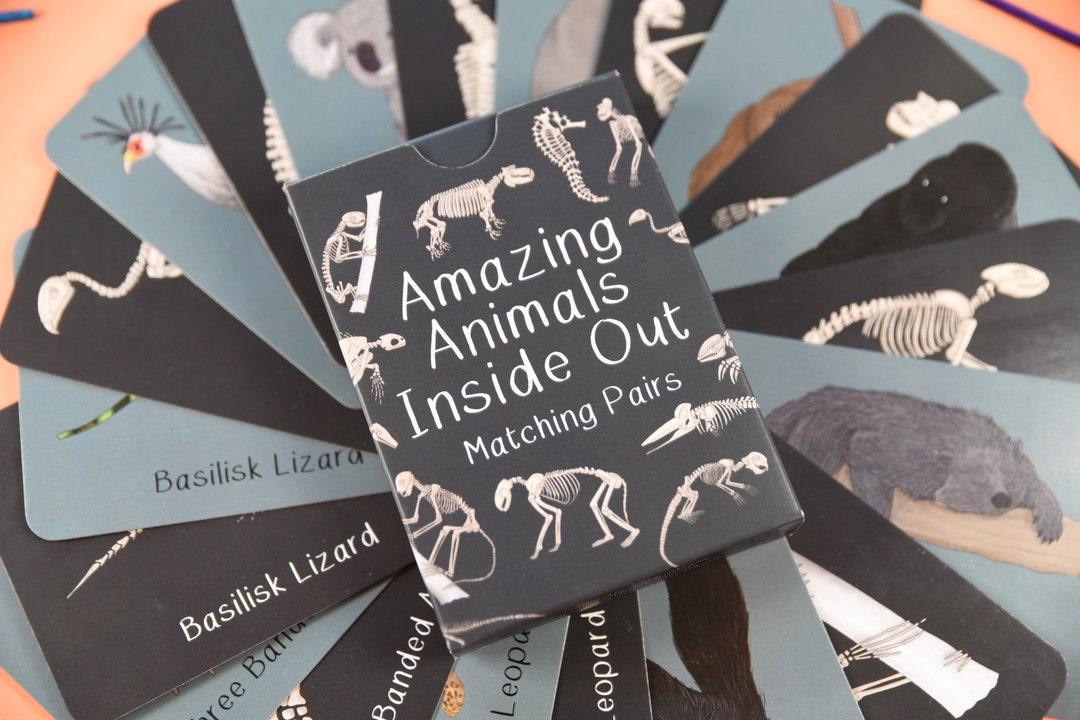 Animal Skeleton Matching Pairs Game – Educational Card Game - Etsy UK