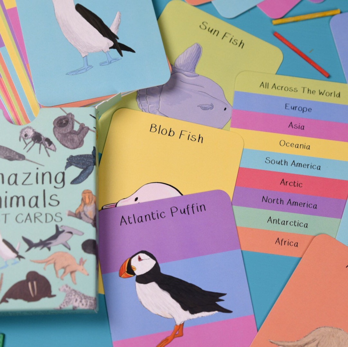 Amazing Animals Fact Cards Set 1 Learn Through Play Education Flash ...