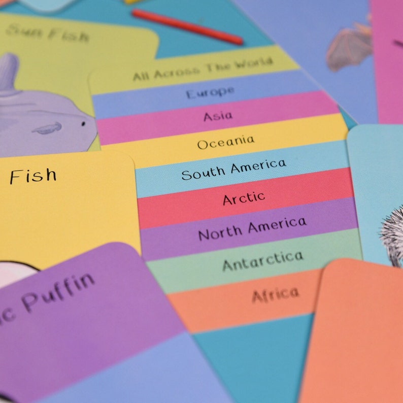 Amazing Animals Fact Cards Set 1 Learn Through Play Education Flash ...