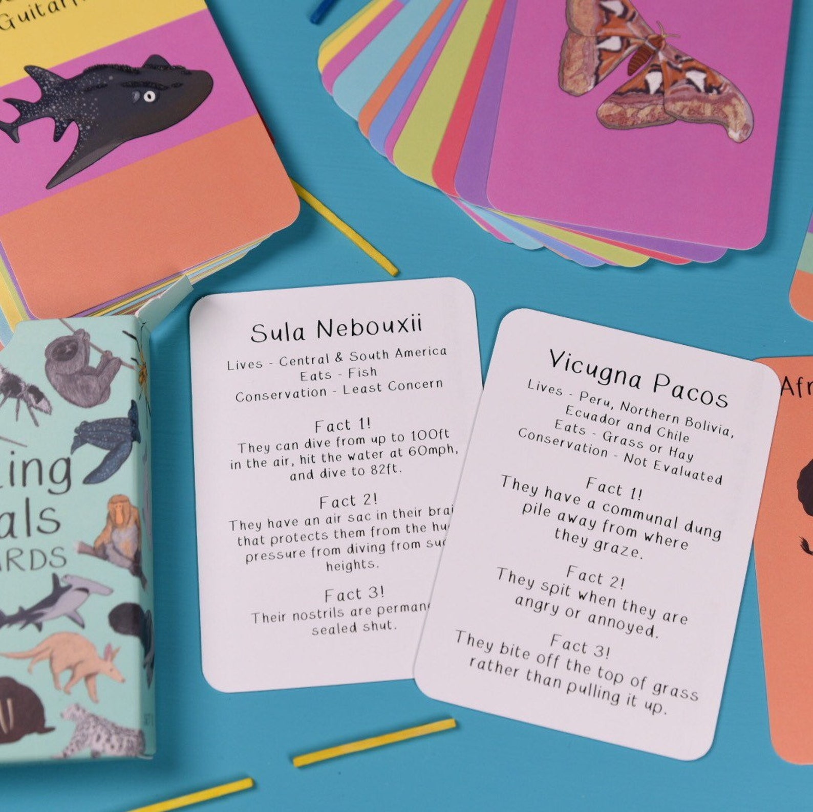 Amazing Animals Fact Cards Set 1 Learn Through Play Education Flash ...