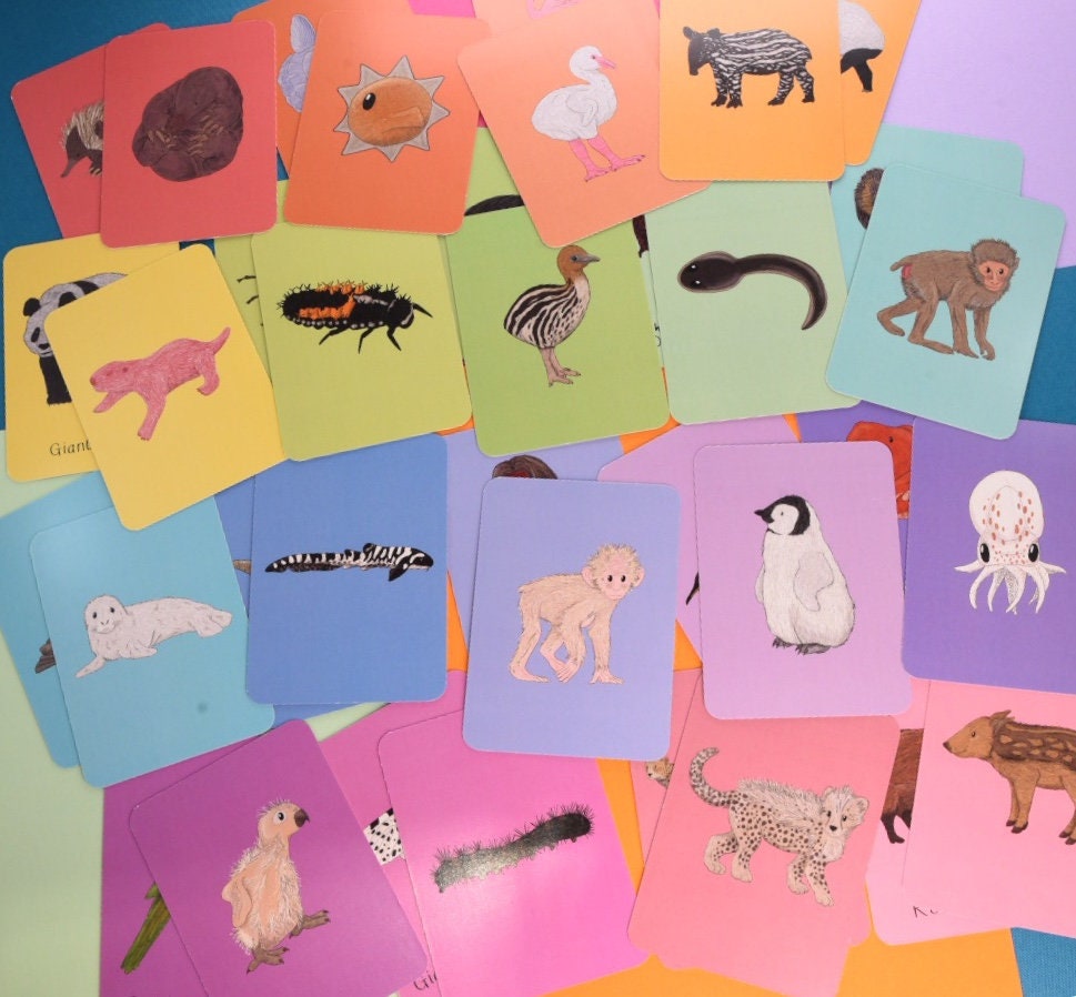 Amazing Baby Animals Matching Pairs Cards Travel Game - Etsy