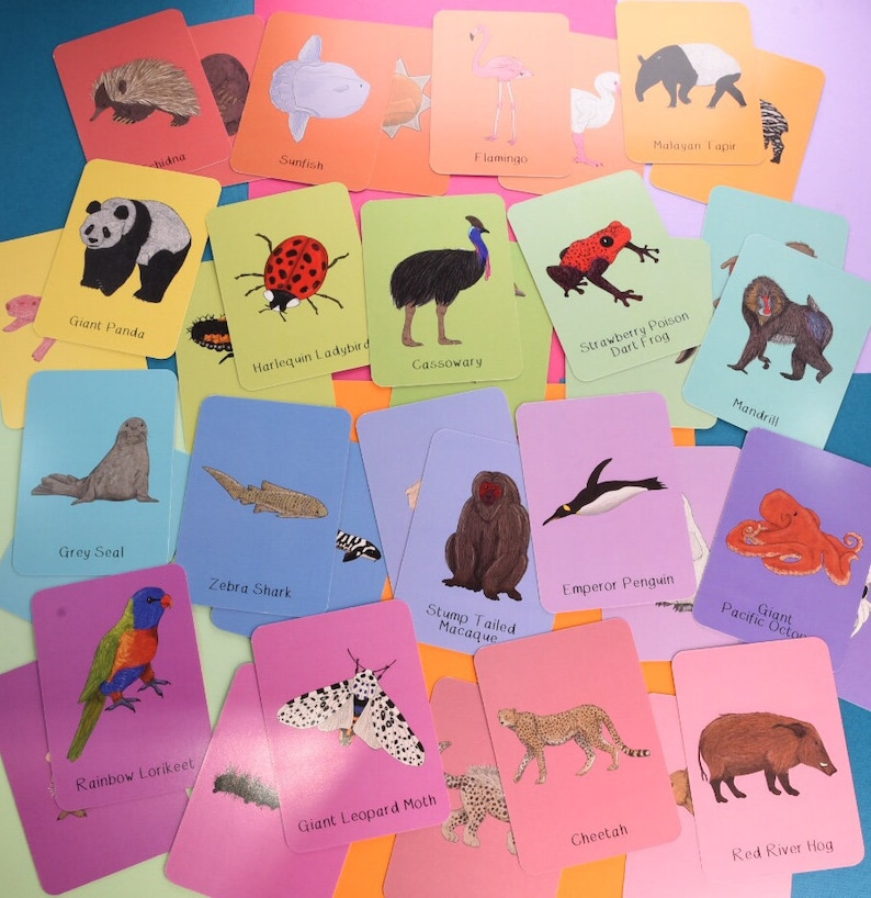 Amazing Baby Animals Matching Pairs Cards Travel Game - Etsy