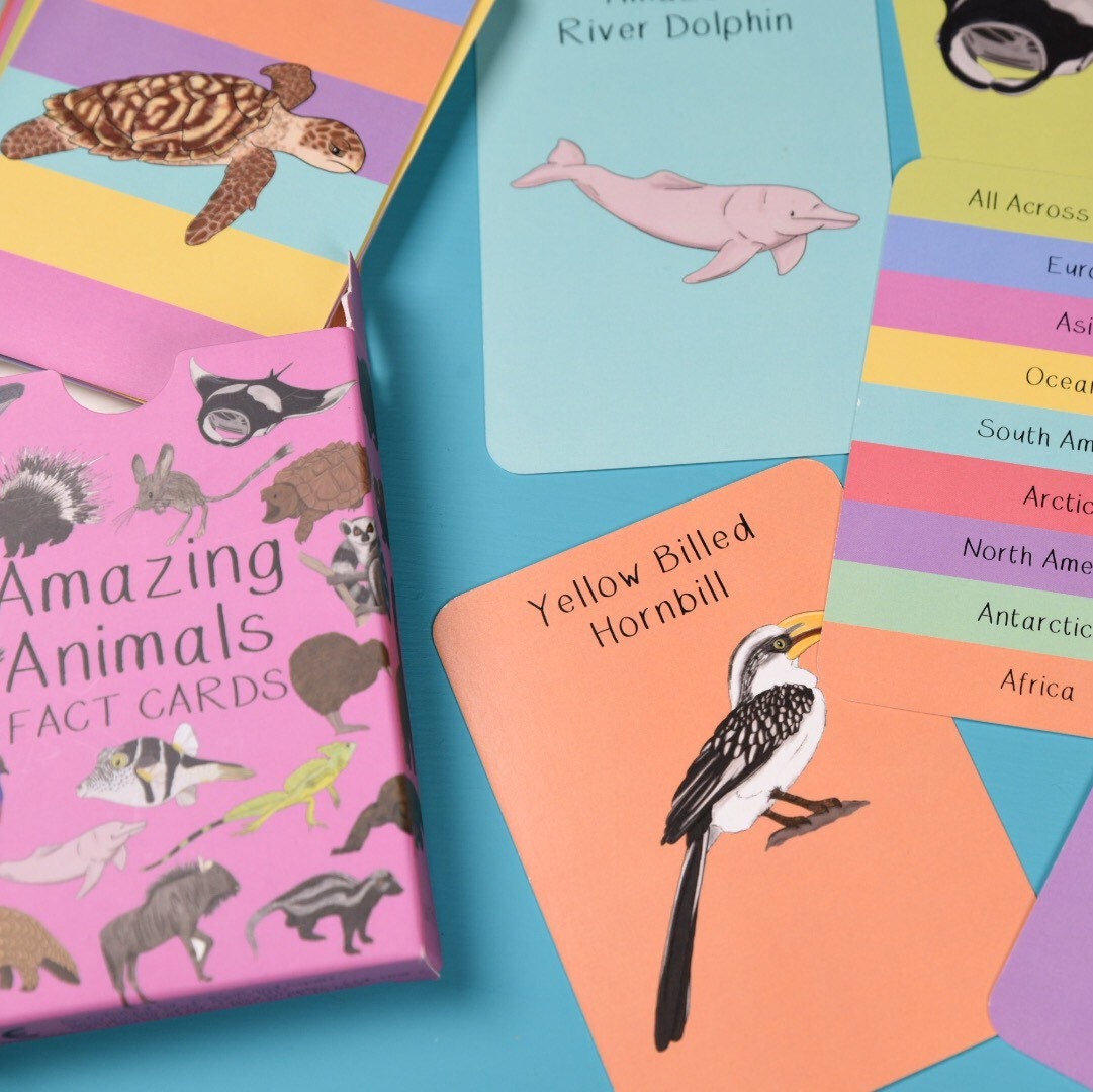 Amazing Animal Fact Cards Set 2 Flash Cards Home Education - Etsy UK