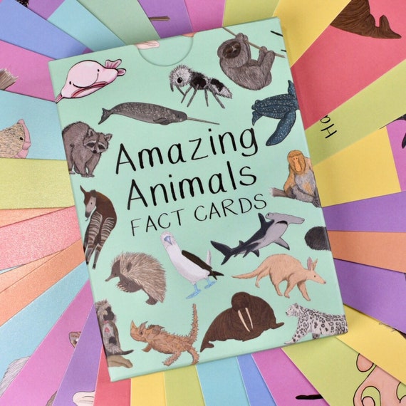 Amazing Animals Fact Cards Set 1 Learn Through Play | Etsy