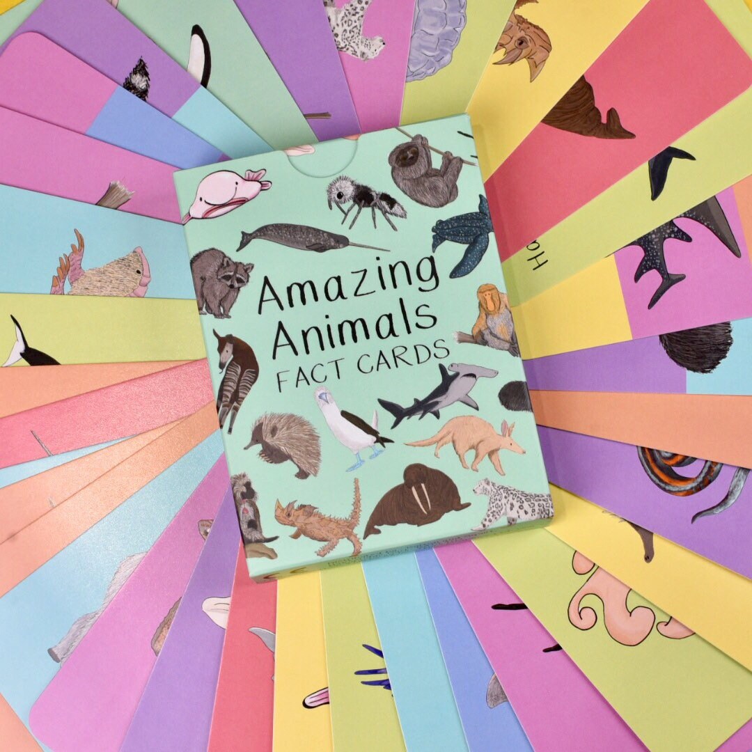 Amazing Animals Fact Cards Set 1 Learn Through Play Education Flash ...