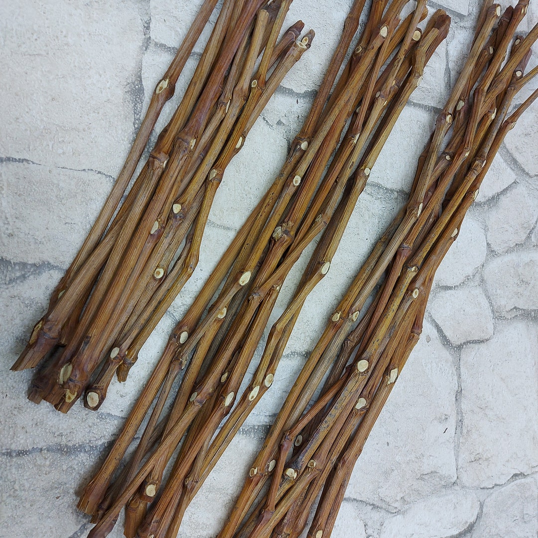 36 Dried Grape Vine Sticks: Natural Craft Supplies, Montessori ...