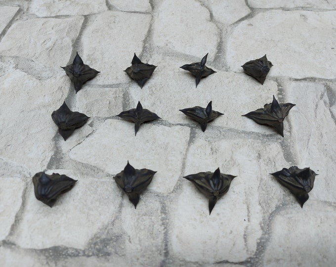 12 Pcs. Spiky River Pods Natural Pods Set of 12 River Pods Devil Nuts ...