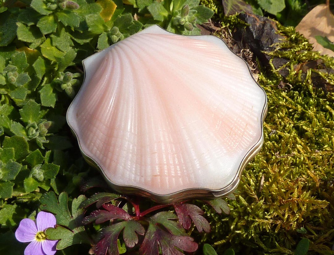 Shell Powder Compact With Its Powder Puff! in Carbonite and Solid ...