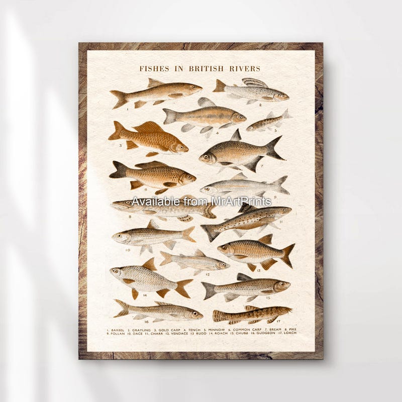 Fish Uk Poster - Etsy UK