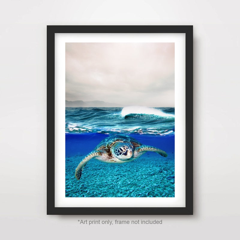 Sea Turtle Poster - Etsy