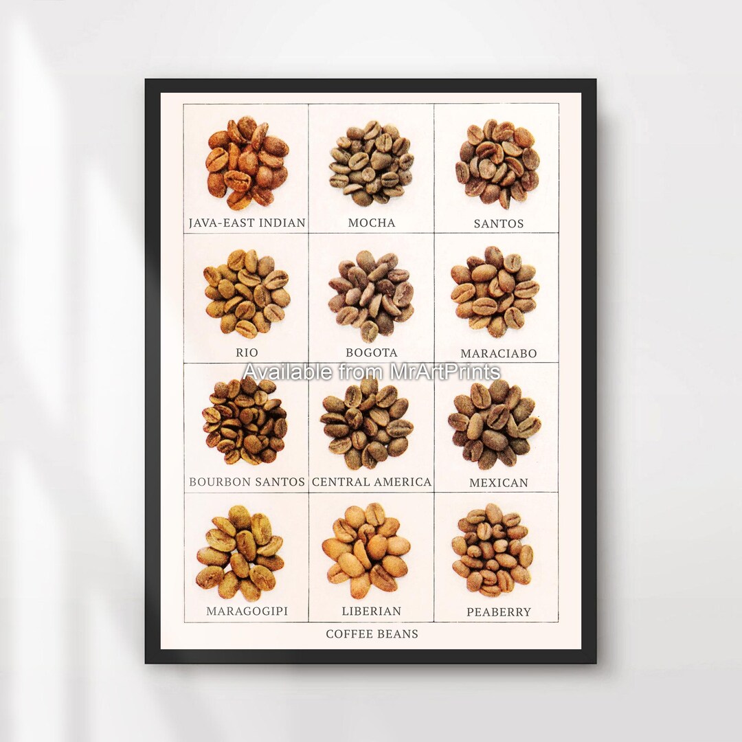 Coffee Bean Types Chart Kitchen Art Wall Picture Poster Print Cafe ...
