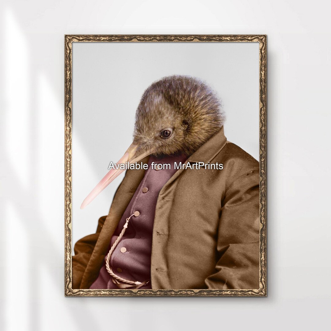 Kiwi Funny Quirky Portrait Art Print Poster Wall Picture Animals ...
