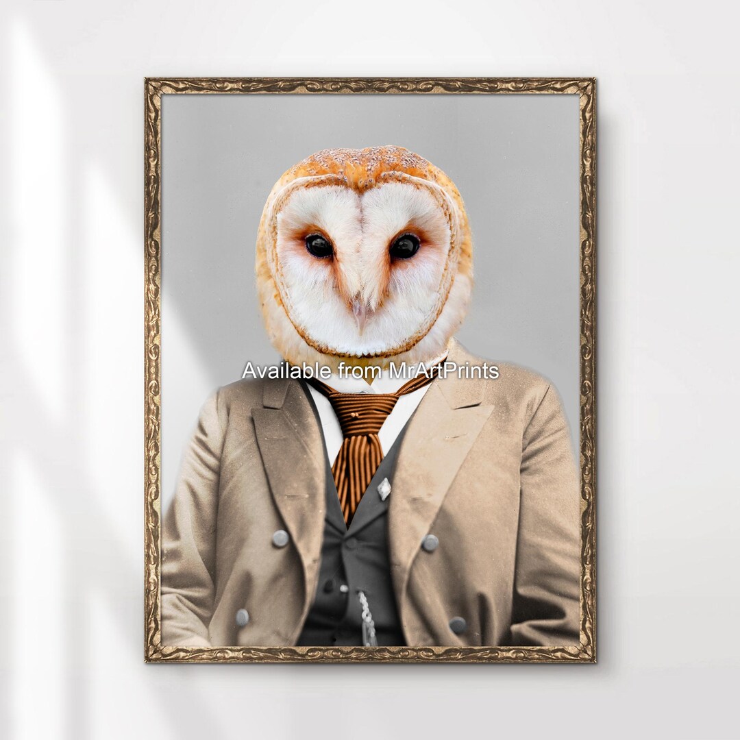 Barn Owl Funny Quirky Portrait Art Print Poster Wall Picture Animals ...