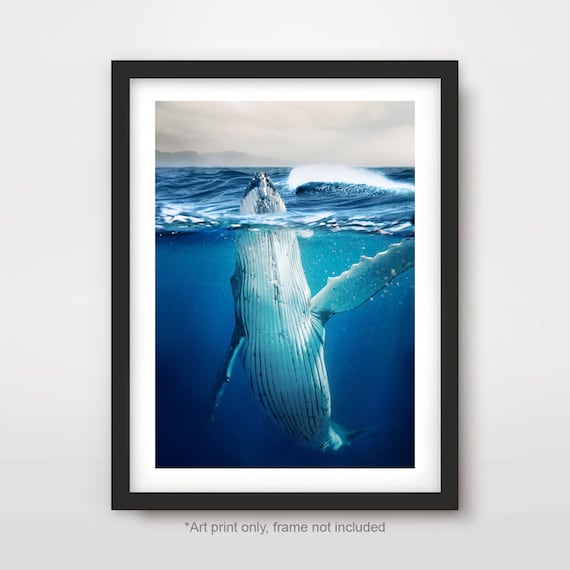 WHALE Underwater Cross Section Photography ART PRINT Deep Sea - Etsy