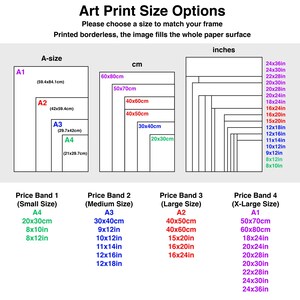 3 Three Triptych Farm Animal Types Chart Art Prints Posters Wall ...