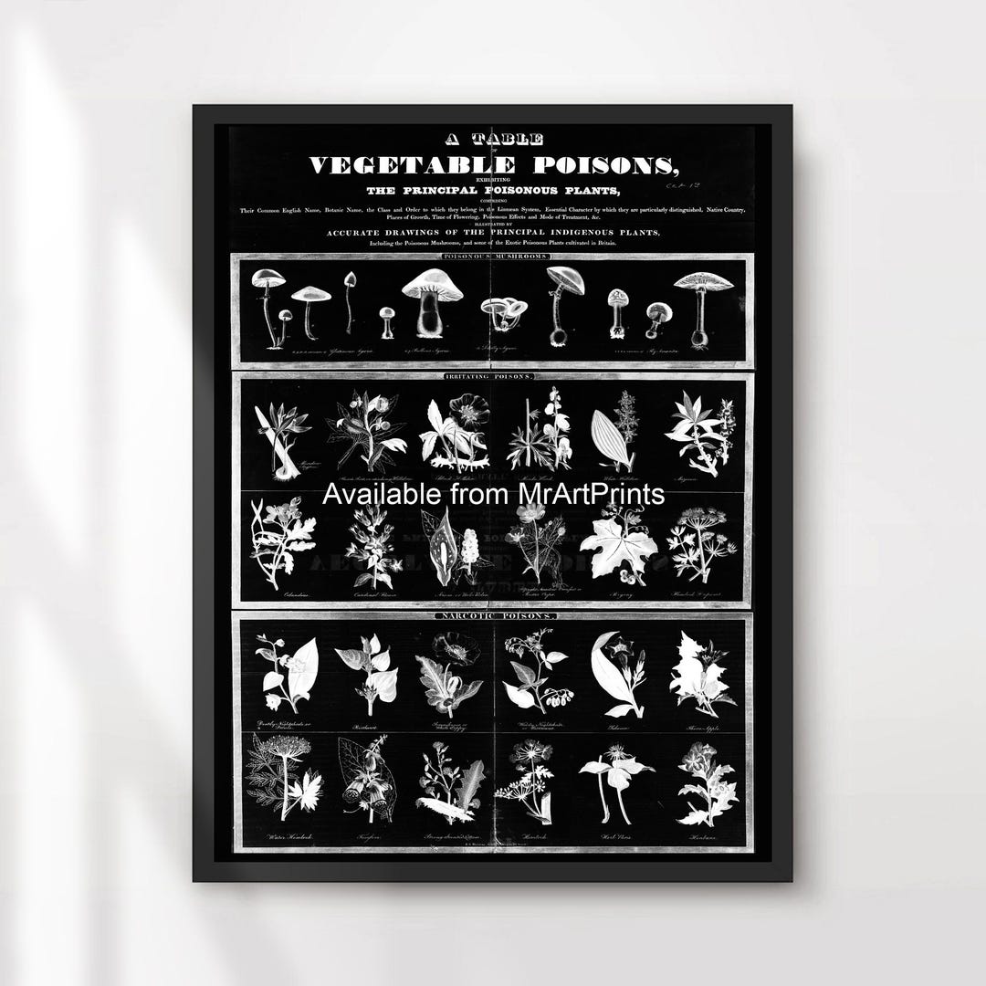 Types of Poison Chart Mushrooms Poisonous Plants Illustrated Vintage ...