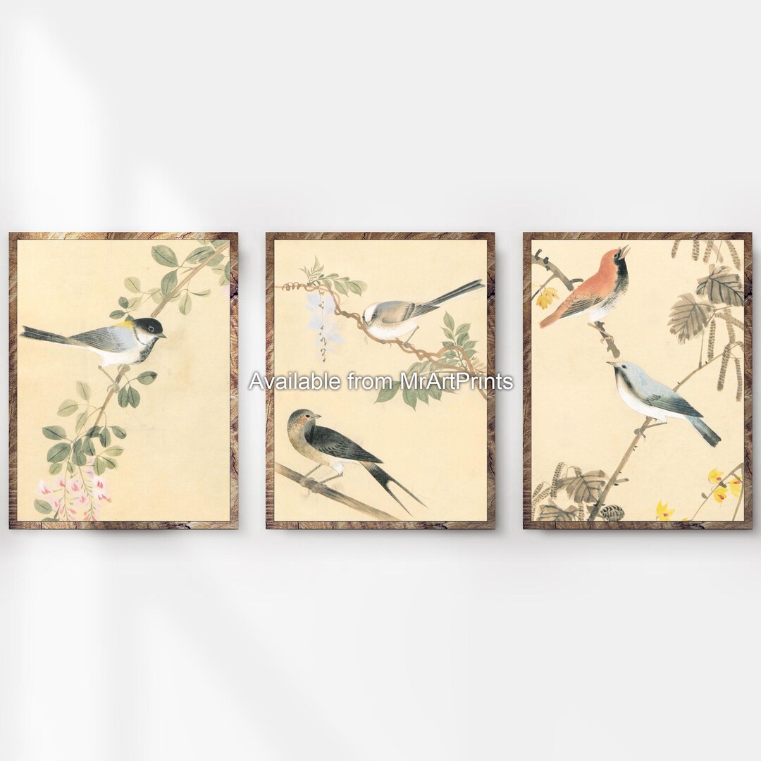 Botanical Bird Art Prints, Triptych Set of 3, Elegant Home Decor - Etsy
