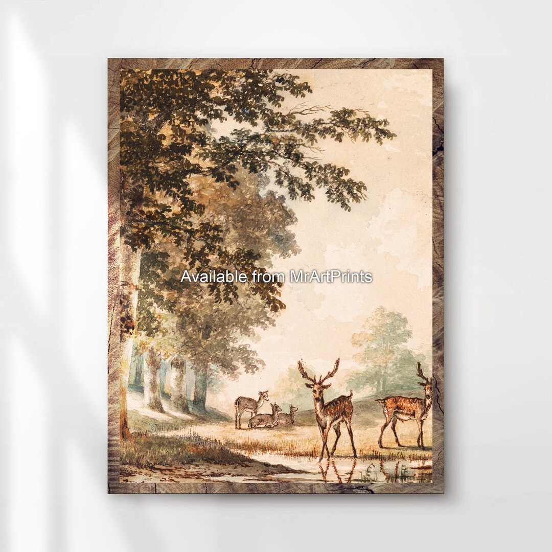 Stag Art Print: Traditional Woodland Wildlife Illustration - Etsy