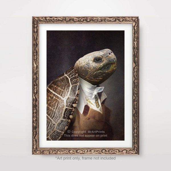 Tortoise Clothes - Etsy UK