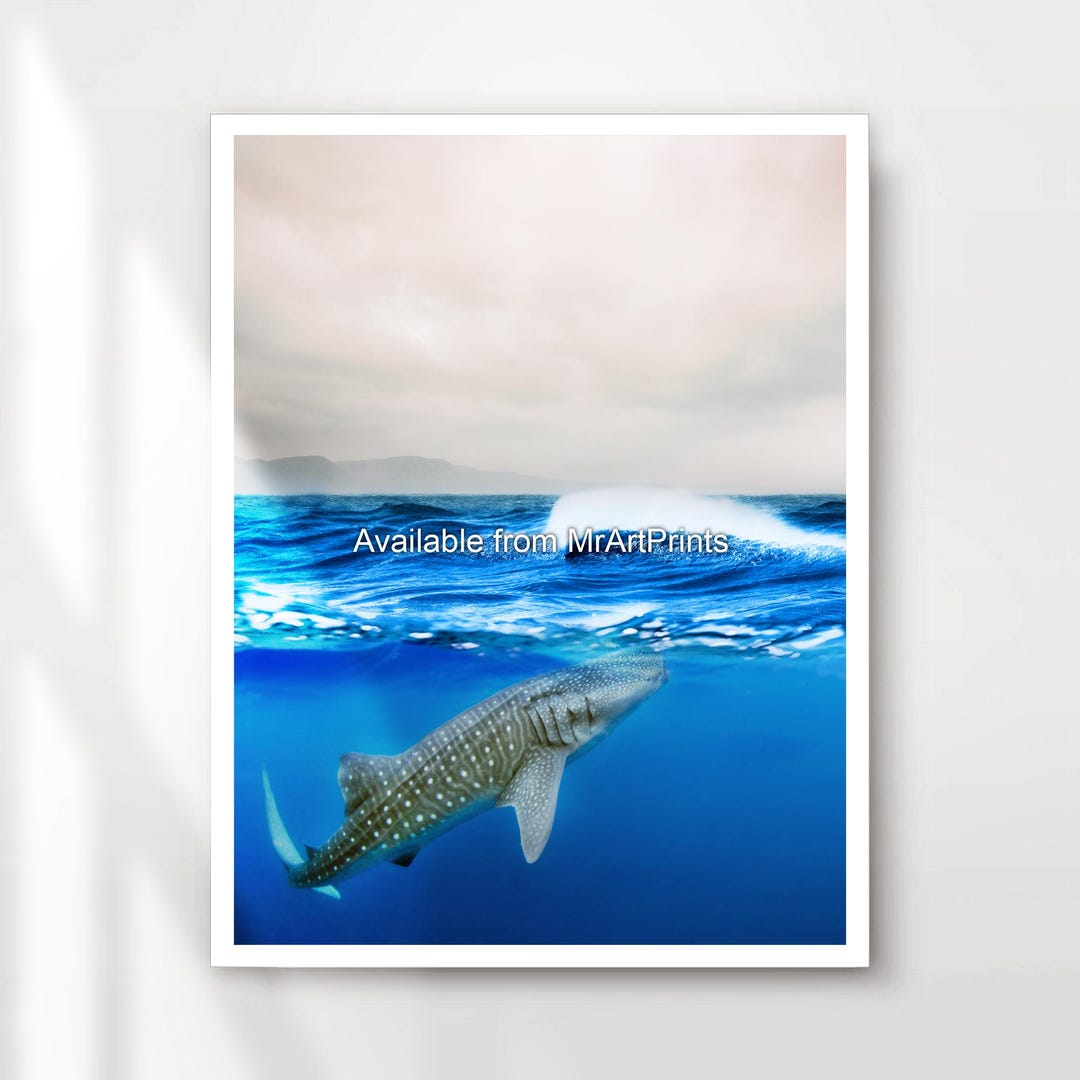 Underwater Whale Shark Sealife Art Wall Picture Poster Print Ocean ...