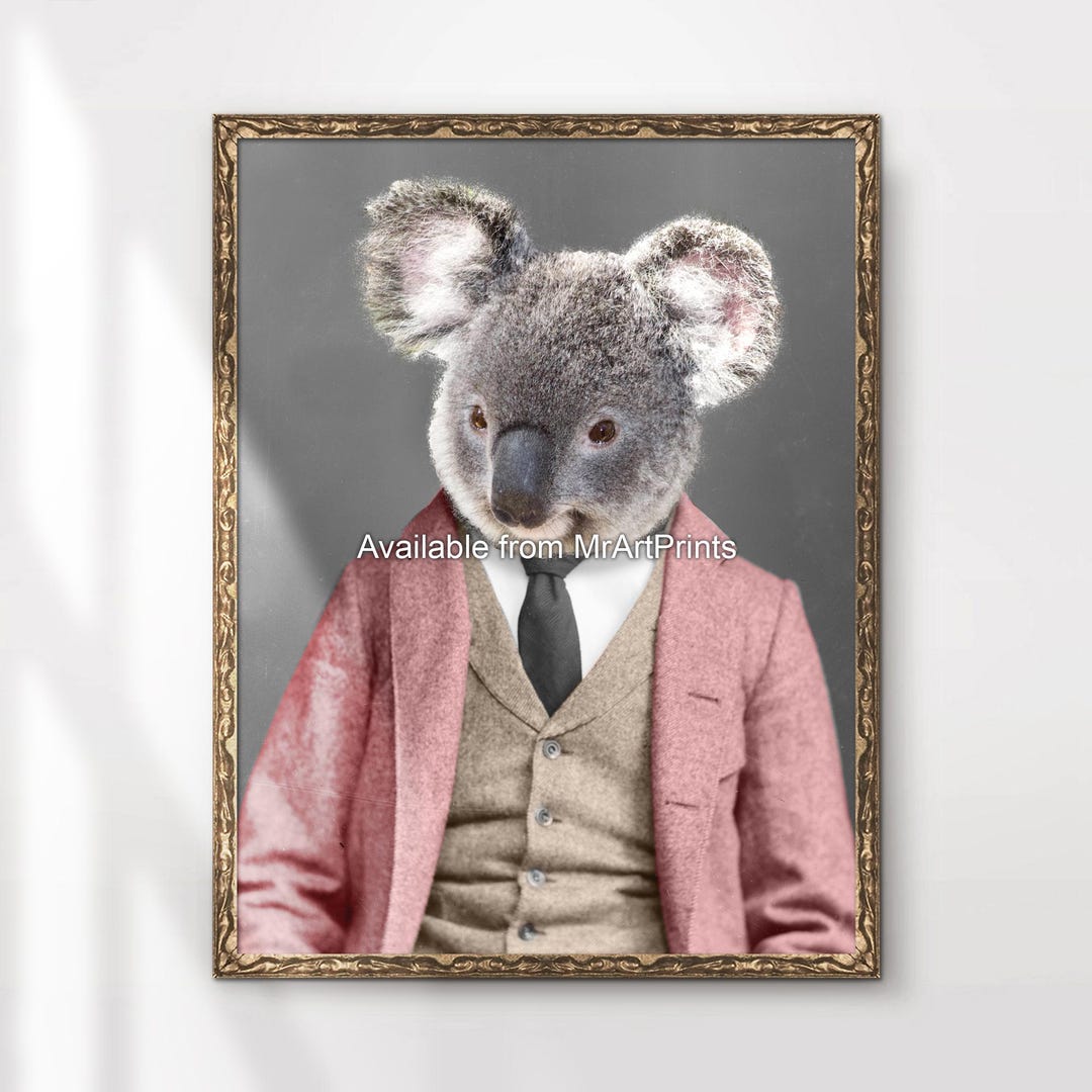 Koala Funny Quirky Portrait Art Print Poster Wall Picture Animals ...