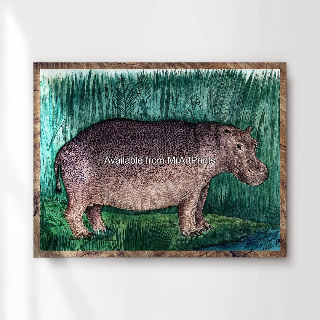 Hippo Hippopotamus Painting Art Print Poster Wildlife Wall Picture ...