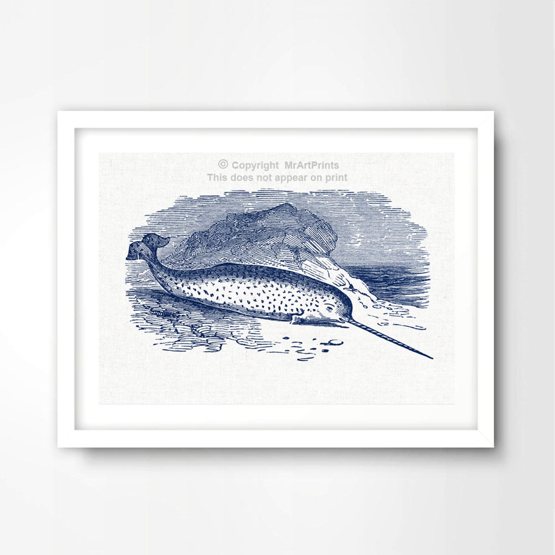 Blue Narwhal Narwhale NAUTICAL ART PRINT Seaside Illustration Picture ...