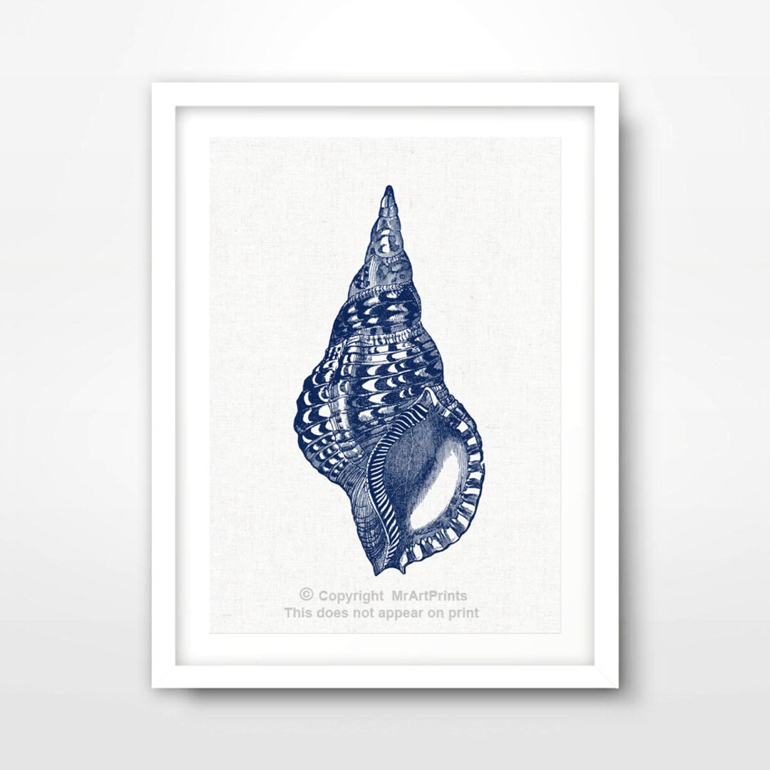Blue Seashell Shell NAUTICAL ART PRINT Seaside Illustration Picture ...