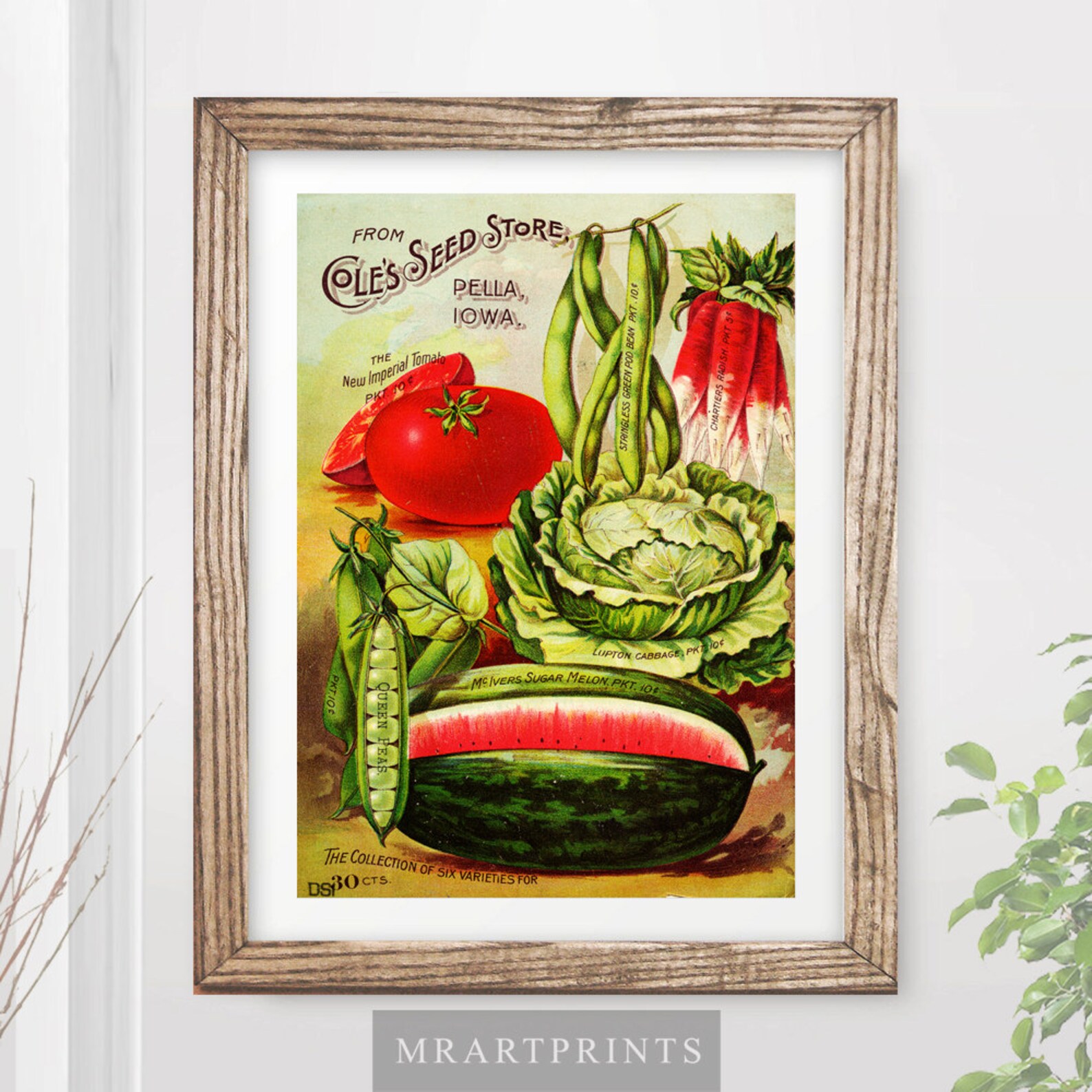VINTAGE KITCHEN Vegetables Art Print / Poster Vegan Vegetarian - Etsy