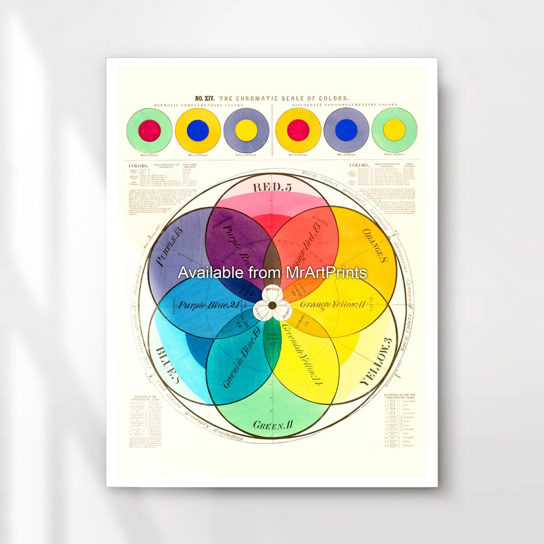 Rainbow Color Wheel Art Print, Vibrant Spectrum Chart - Etsy