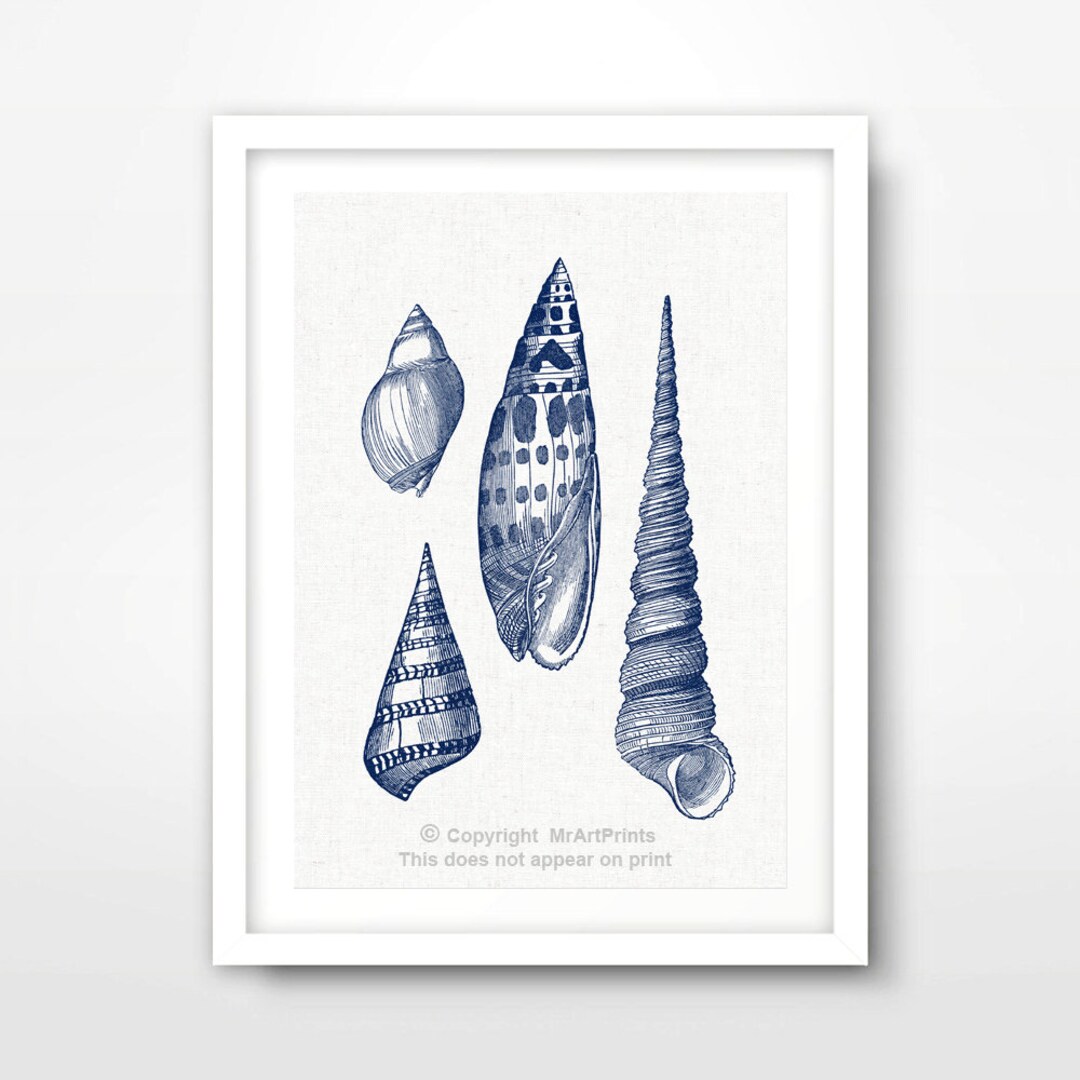 Blue Seashell Shell NAUTICAL ART PRINT Seaside Illustration Picture ...