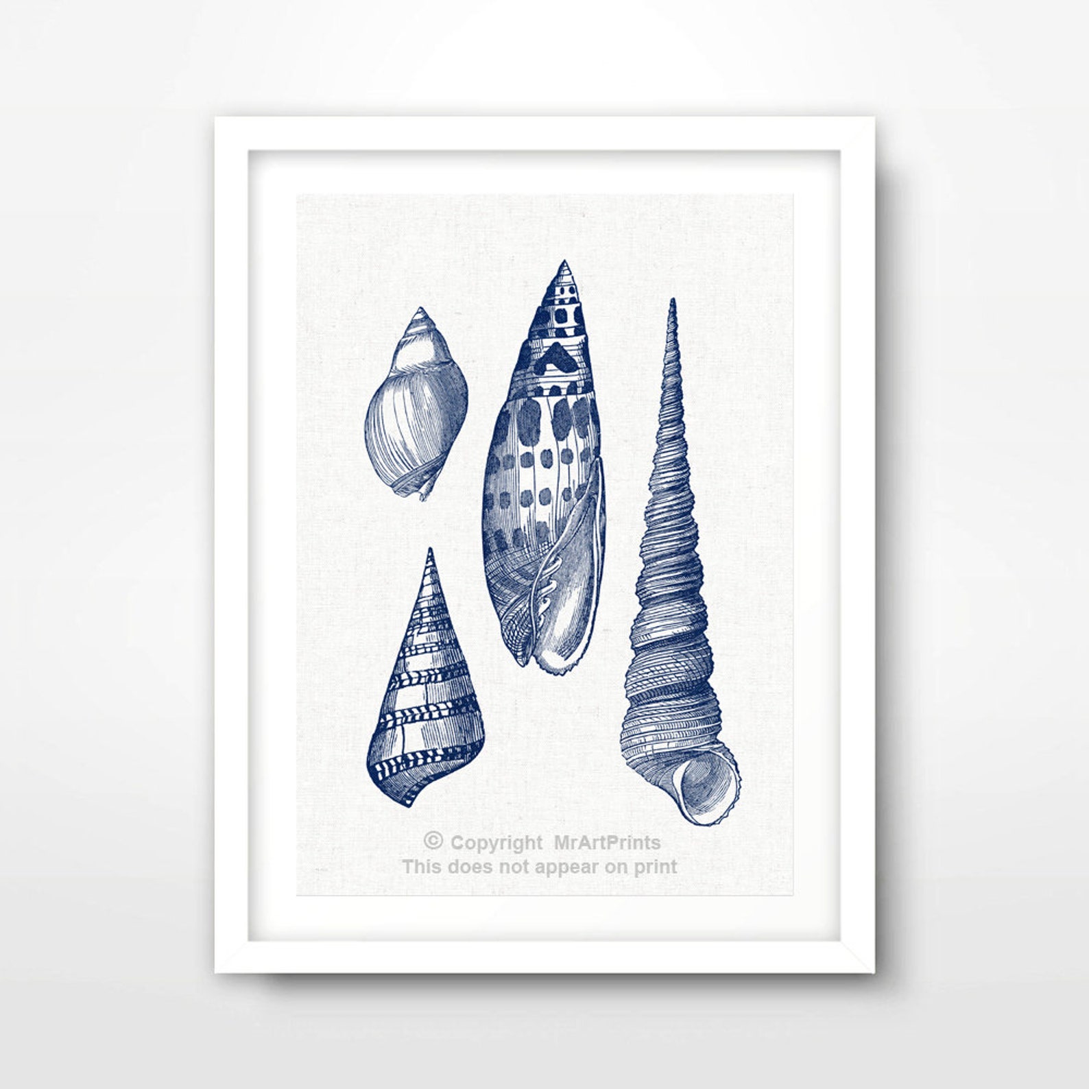 Blue Seashell Shell NAUTICAL ART PRINT Seaside Illustration - Etsy UK