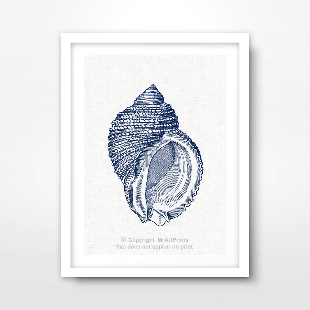 Blue Seashell Shell NAUTICAL ART PRINT Seaside Illustration Picture ...