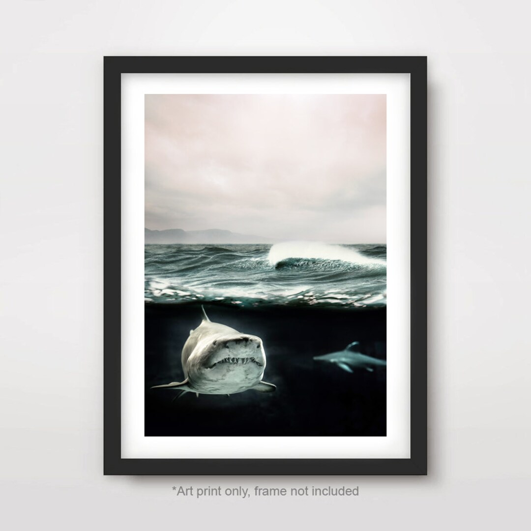 SHARK Underwater Cross Section Photography ART PRINT Deep Sea Ocean ...