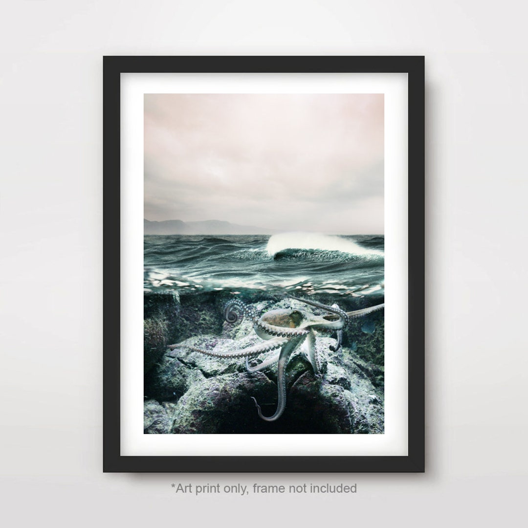 OCTOPUS Underwater Cross Section Photography ART PRINT Deep Sea Ocean ...