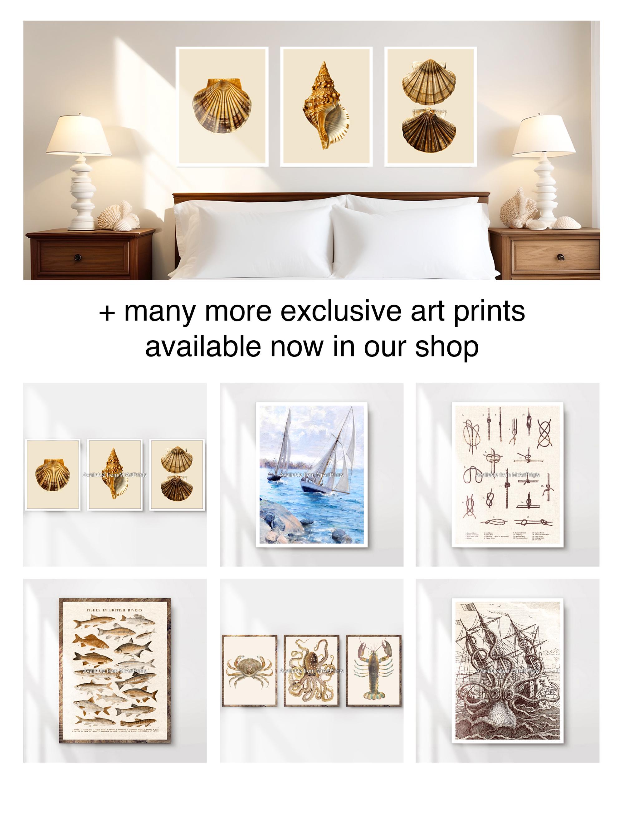 Seashell Shell Seaside Art Wall Picture Poster Print Decor Sepia ...